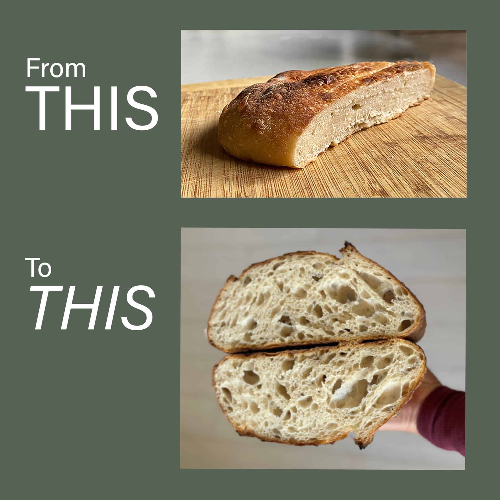 How to fix deflated or exhausted sourdough starter or sourdough dough ...