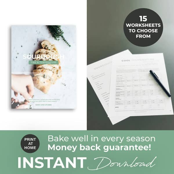 How to fix deflated or exhausted sourdough starter or sourdough dough ...