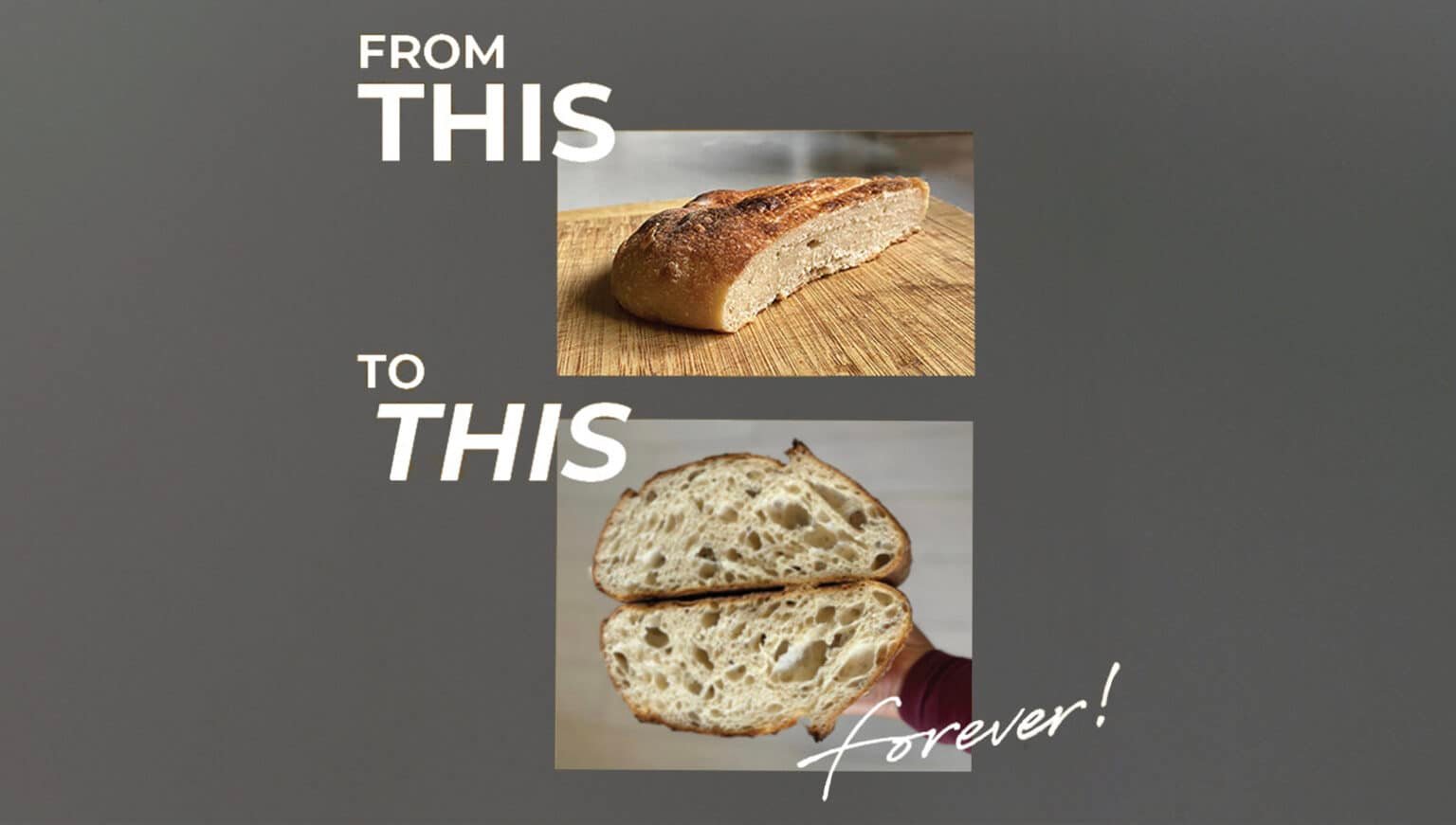 Fix Sourdough Bread That's Flat: The Ultimate Sourdough Troubleshooting Guide for Home Bakers ...